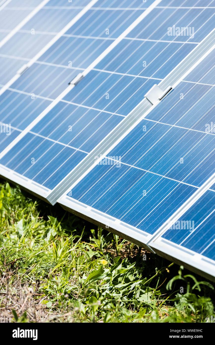 green grass and blue solar energy batteries with copy space Stock Photo ...