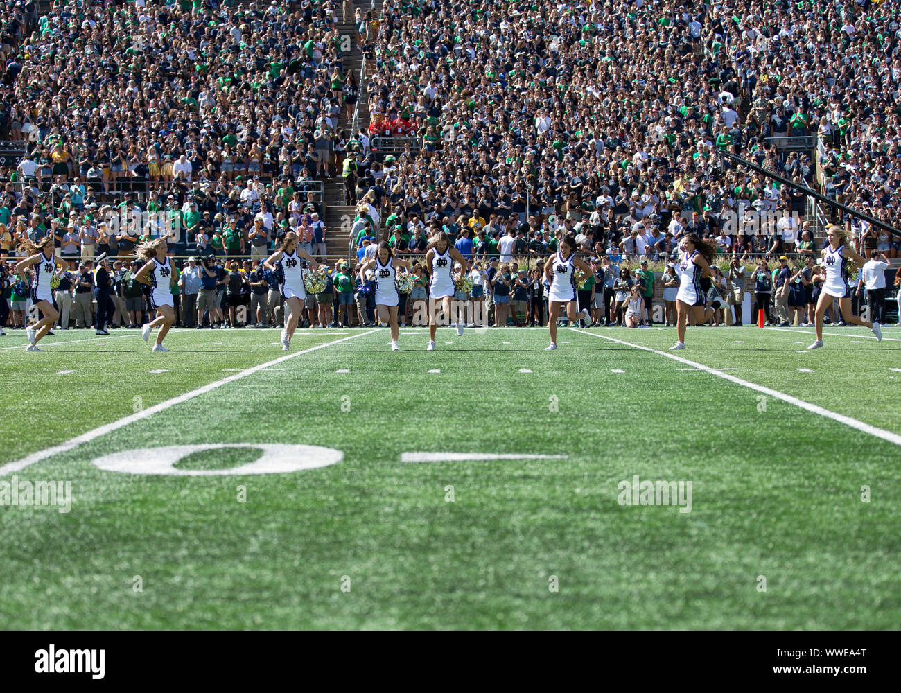 New mexico lobos cheerleaders hi-res stock photography and images - Alamy
