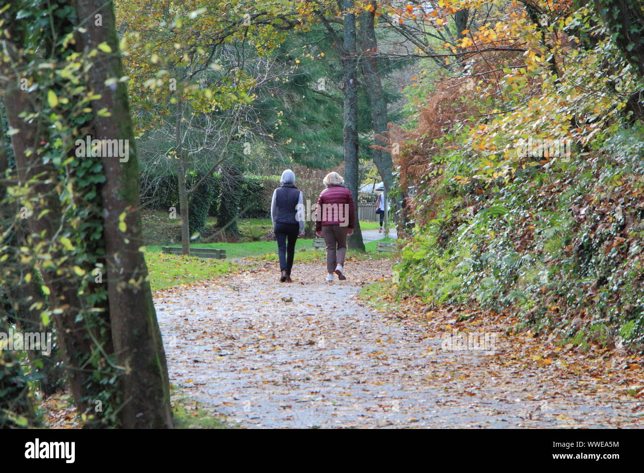 Person going for a walk park hi-res stock photography and images - Alamy