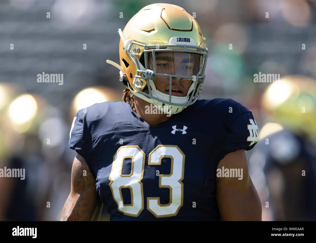 Chase claypool notre dame hi-res stock photography and images - Alamy