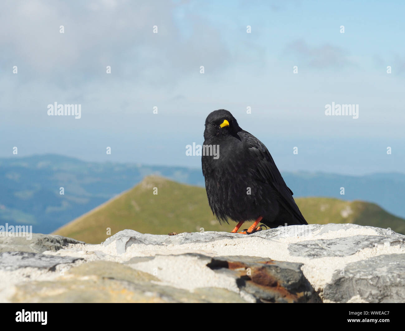 Appenzeller alpen schweiz hi-res stock photography and images - Alamy