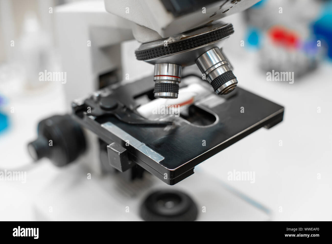 Close up blood sample on glass in microscope Stock Photo - Alamy