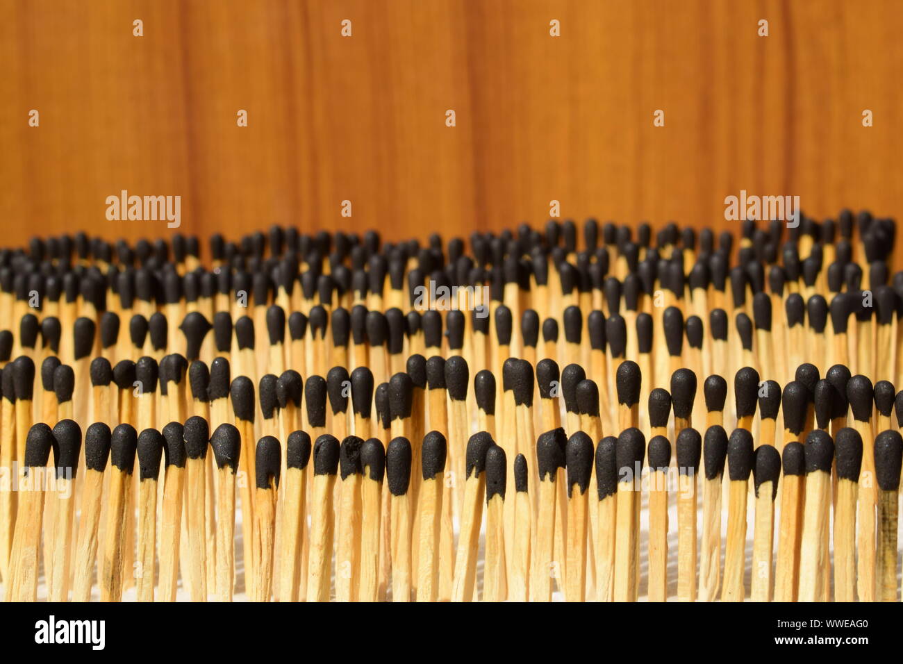 Black head match sticks arranged in rows looking beautiful Stock Photo ...