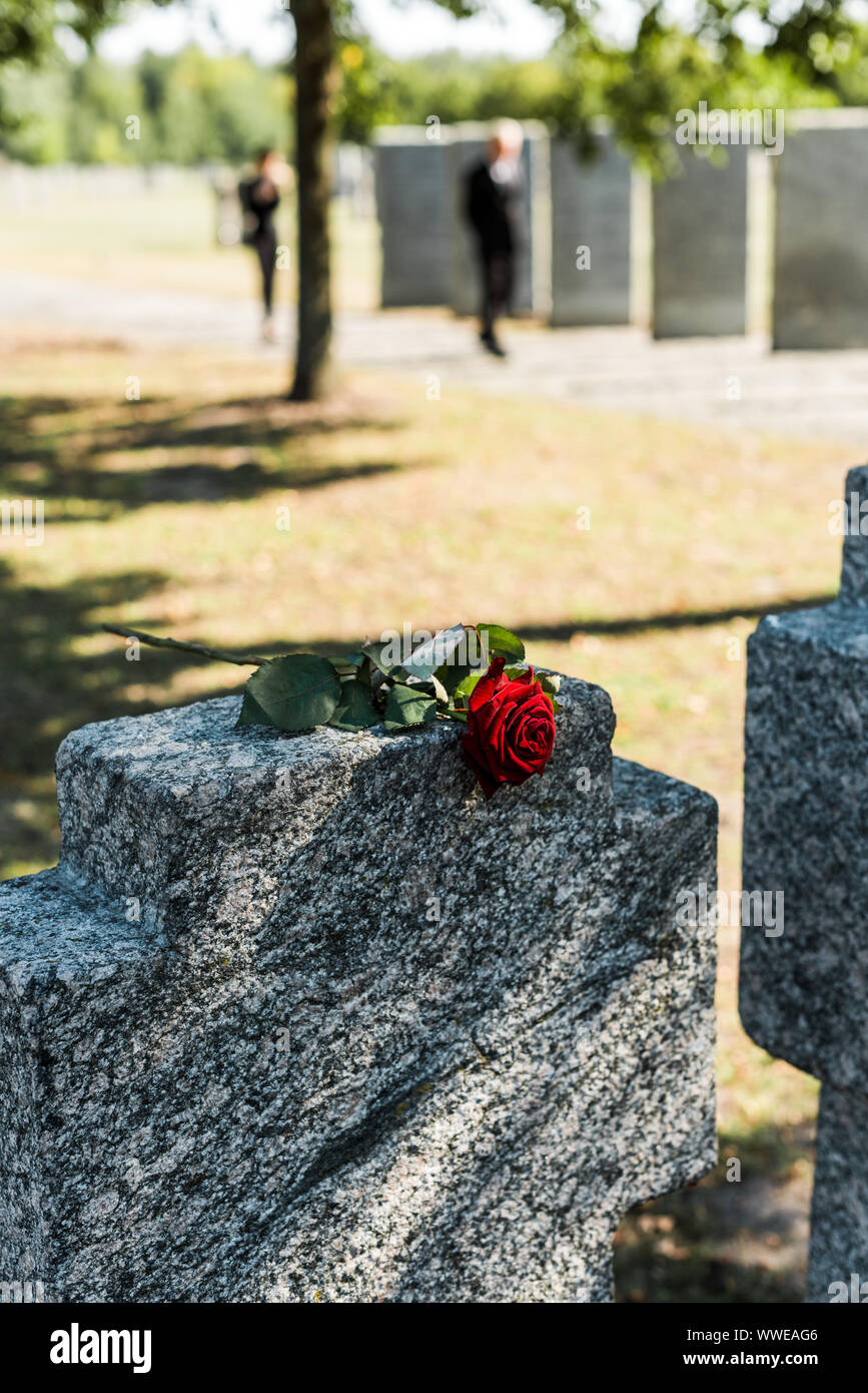 Gravestones with red rose hi-res stock photography and images - Alamy