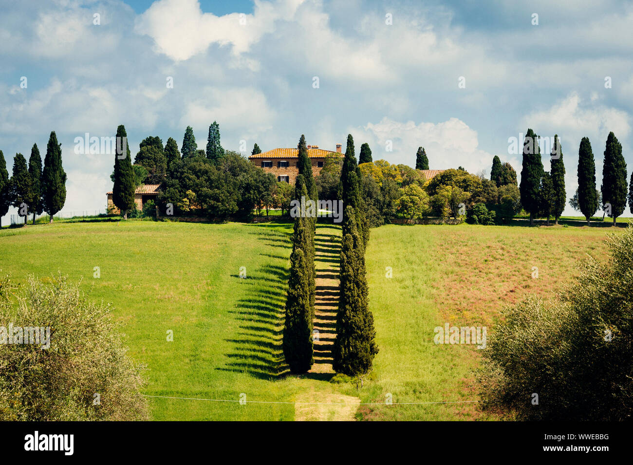 Typical Tuscany landscape, Val Dorcia at dawn, Italy Stock Photo - Alamy