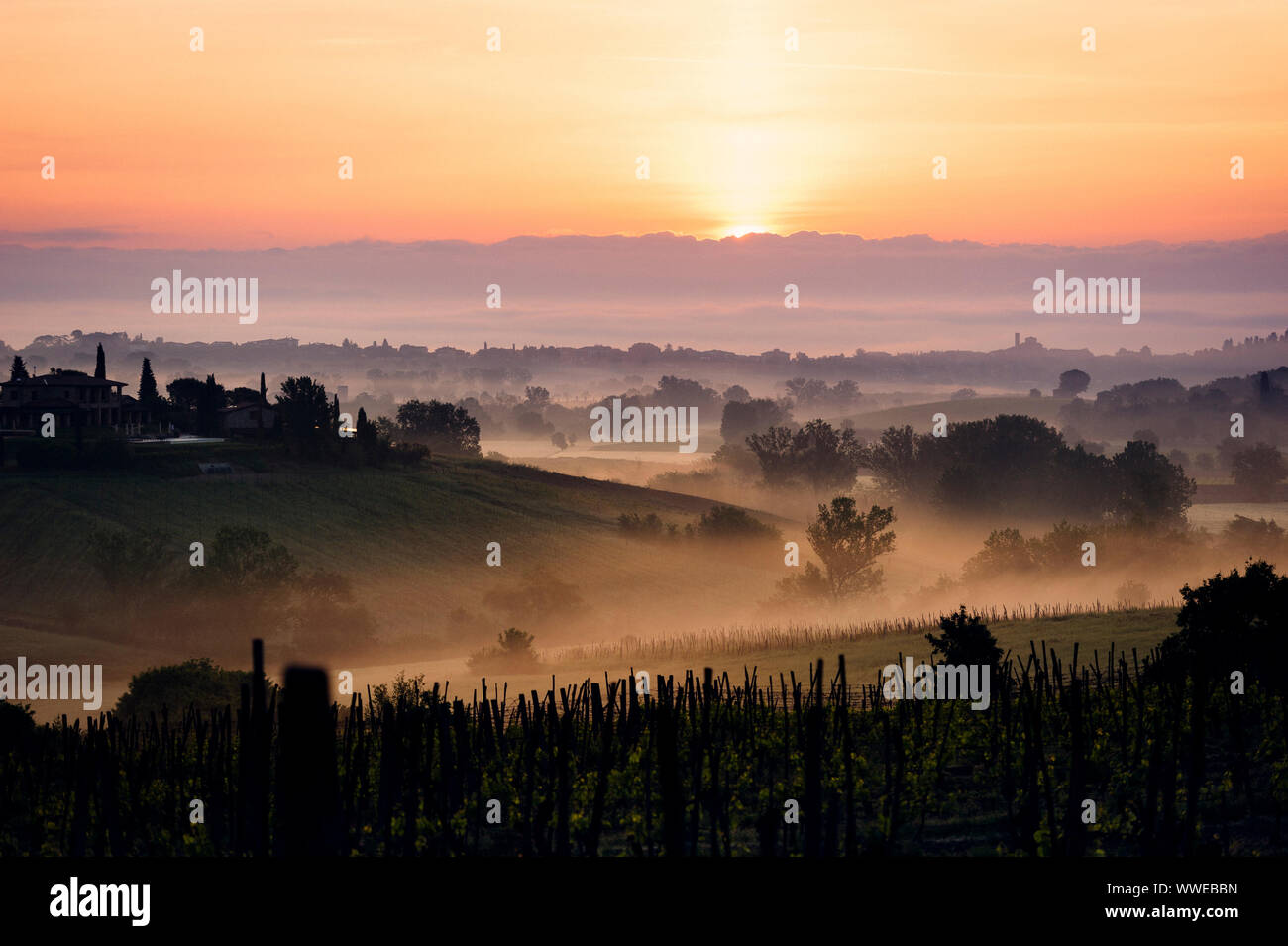 Countryside val dorcia vineyard hi-res stock photography and images - Alamy