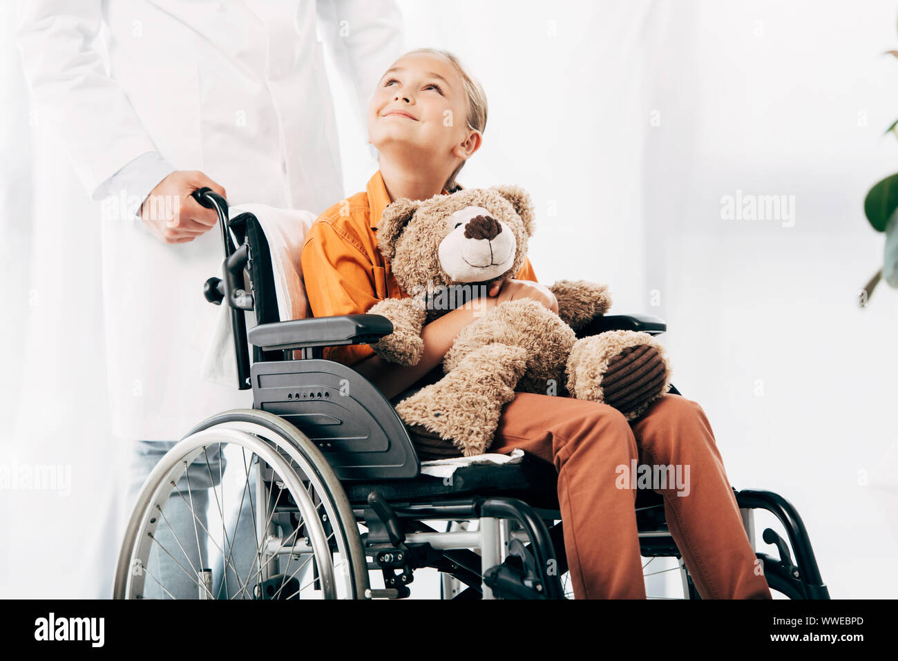 Teddy bear in wheelchair hi-res stock photography and images - Alamy