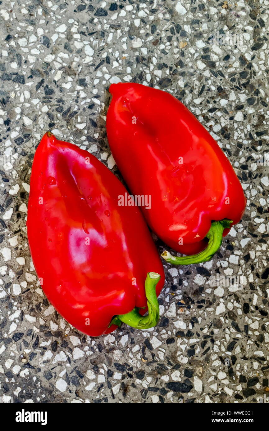 Two red, raw, ripe peppers, paprika or Capsicum with green stem ...