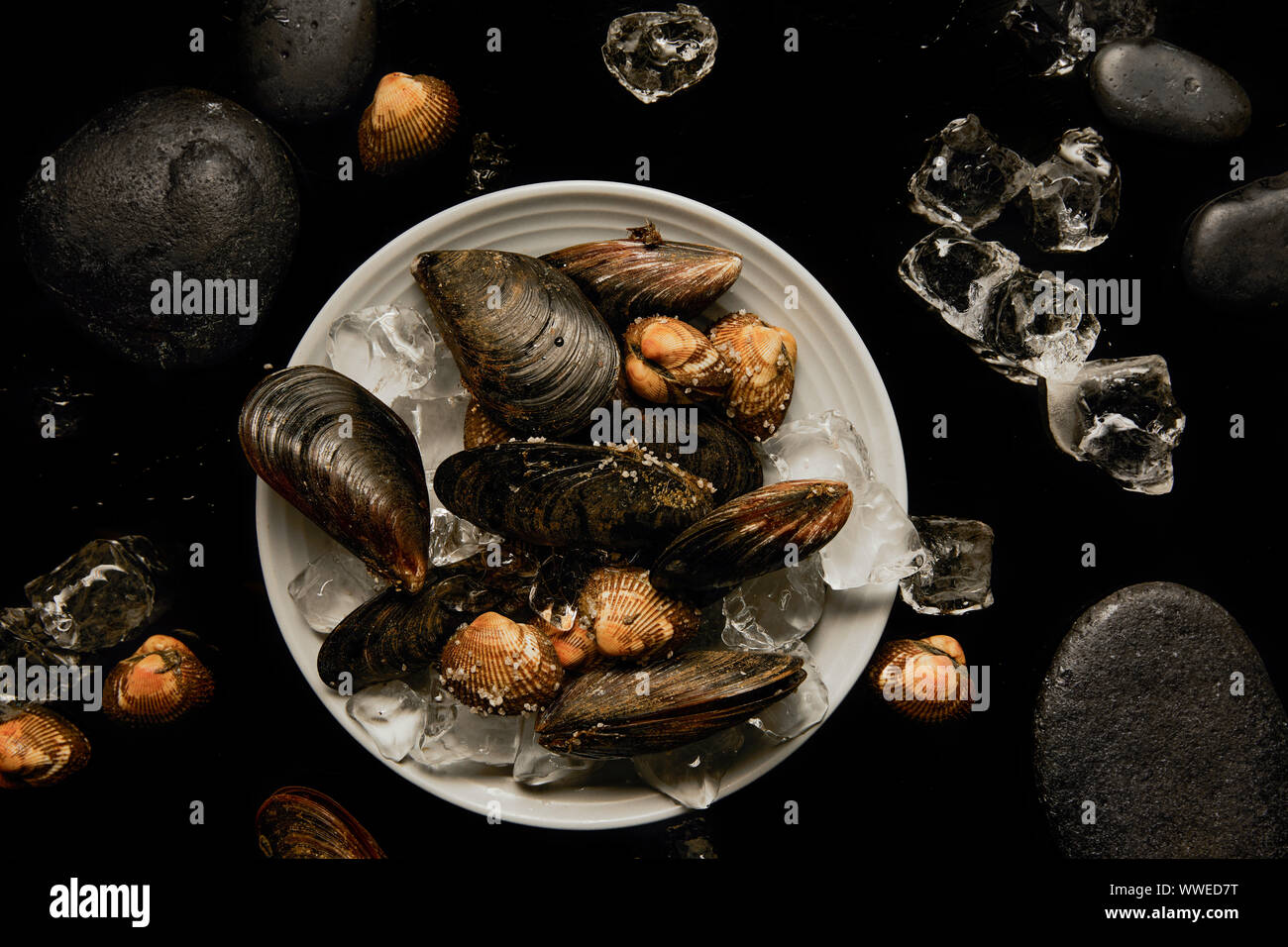 top view of frozen uncooked cockles and mussels on white plate near ...