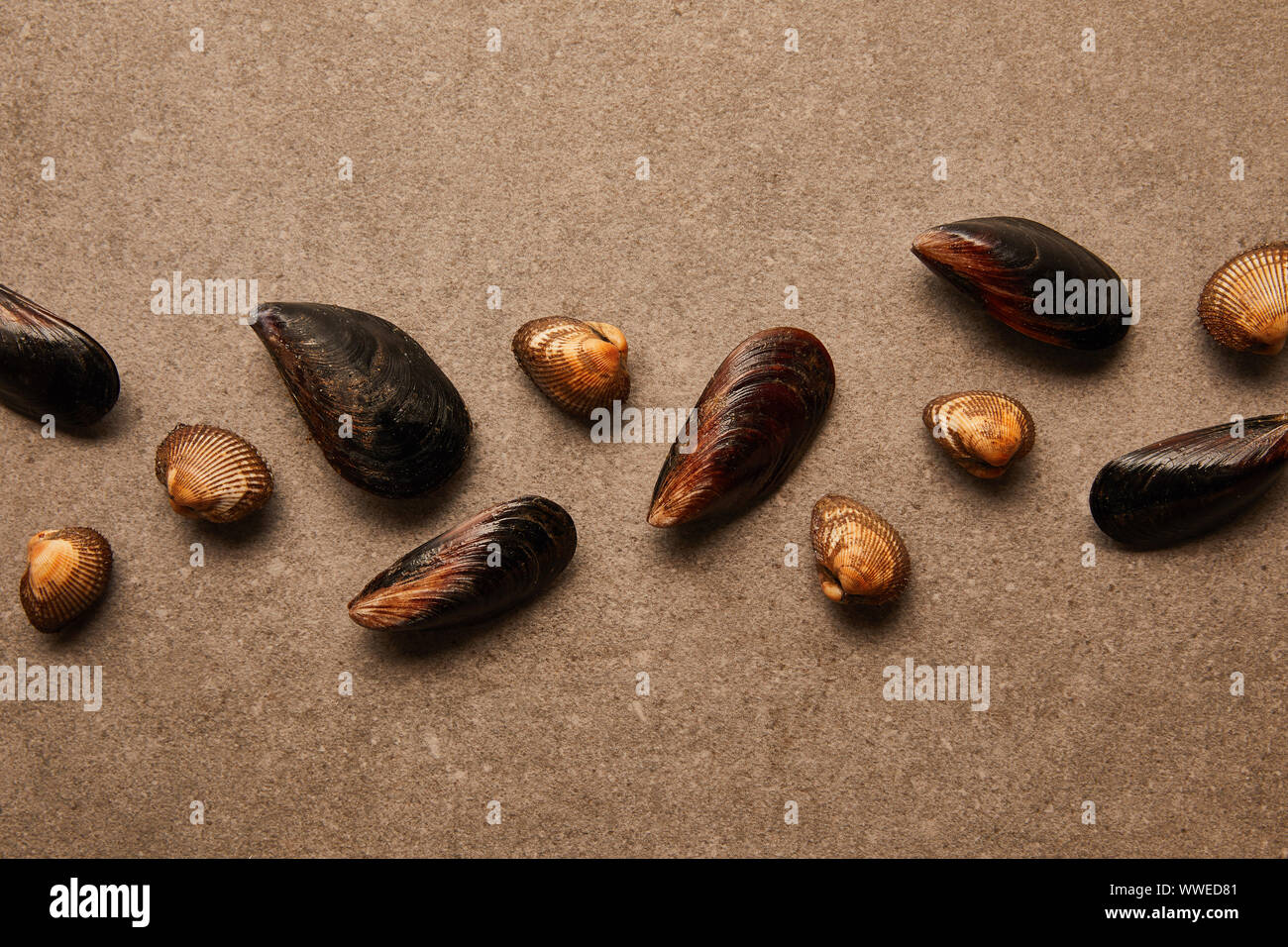 flat lay with uncooked cockles and mussels on textured surface Stock ...