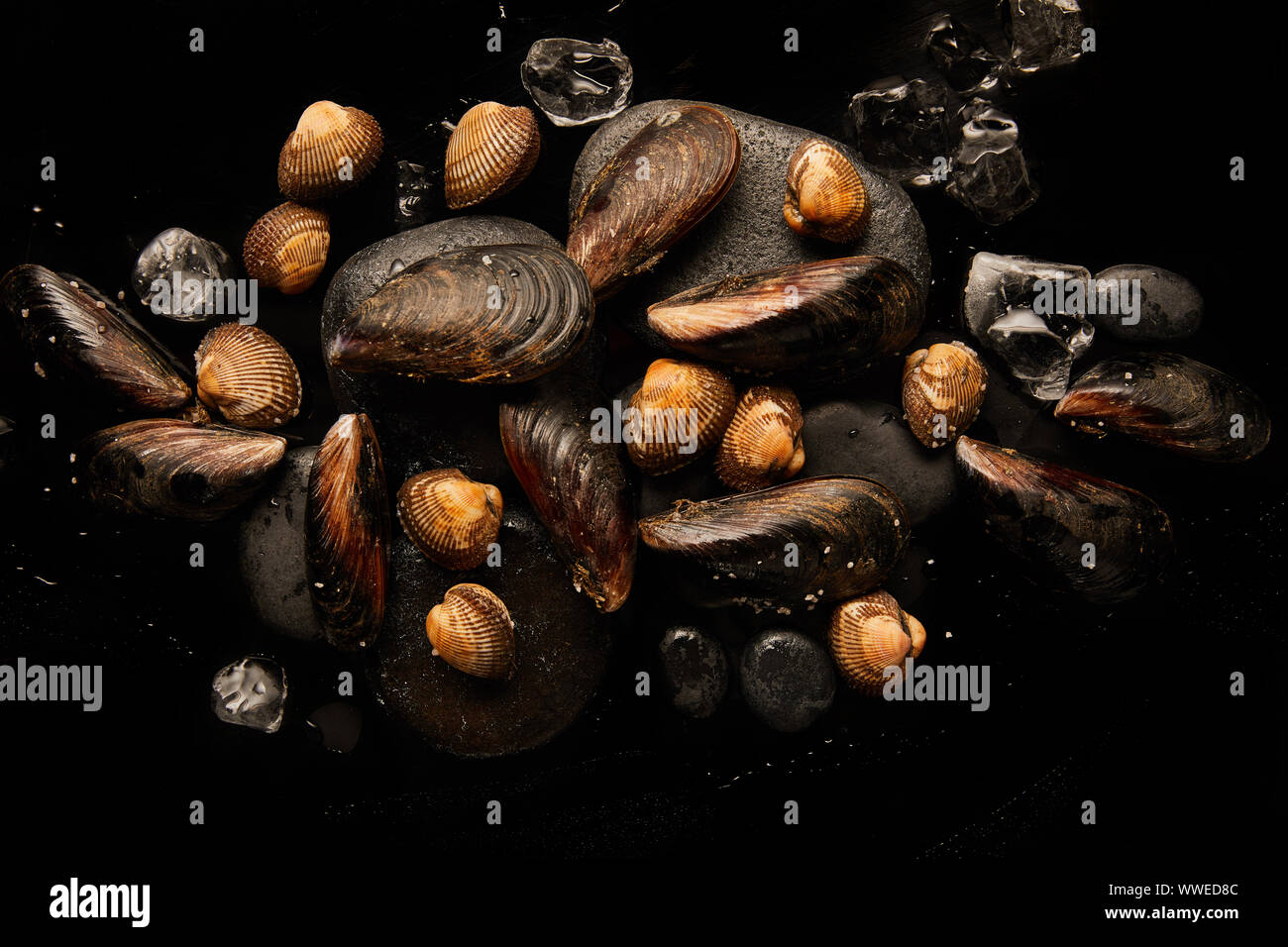 top view of frozen uncooked cockles and mussels on stones near ...