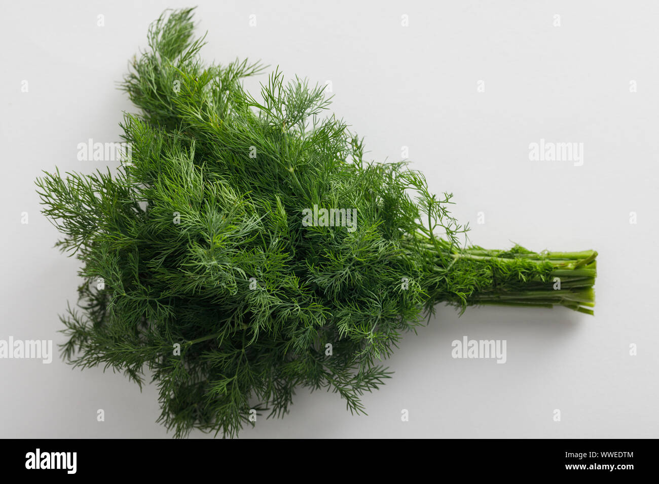 Bundle of aromatic fresh green dill on white background Stock Photo - Alamy