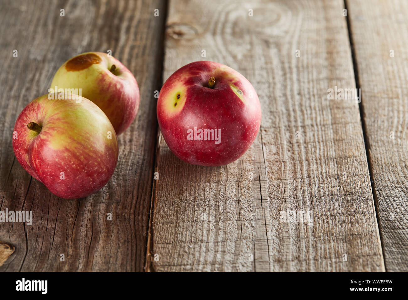 Rotten spot hi-res stock photography and images - Alamy