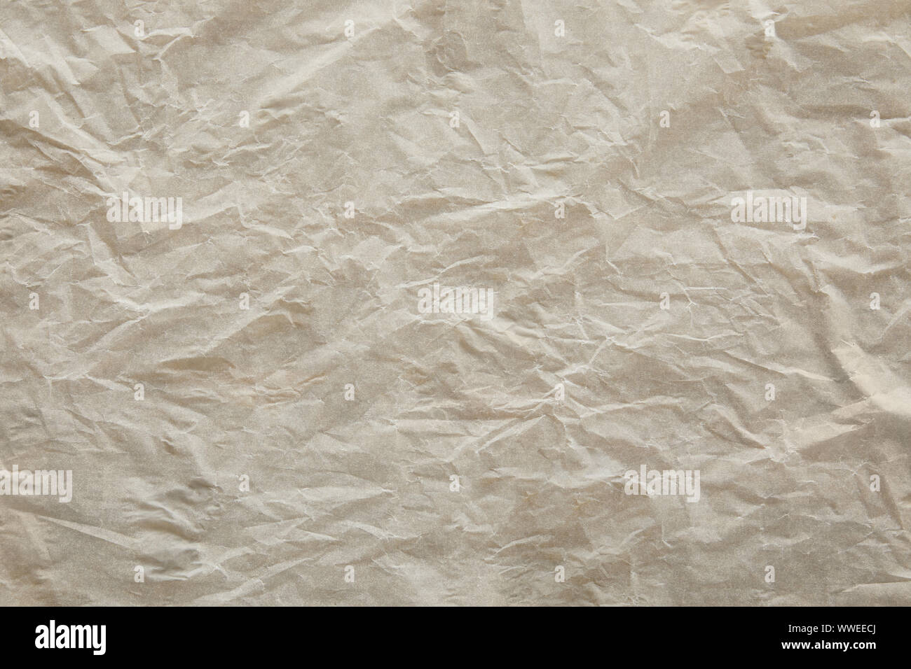 top view of beige crumped parchment paper surface with copy space Stock ...