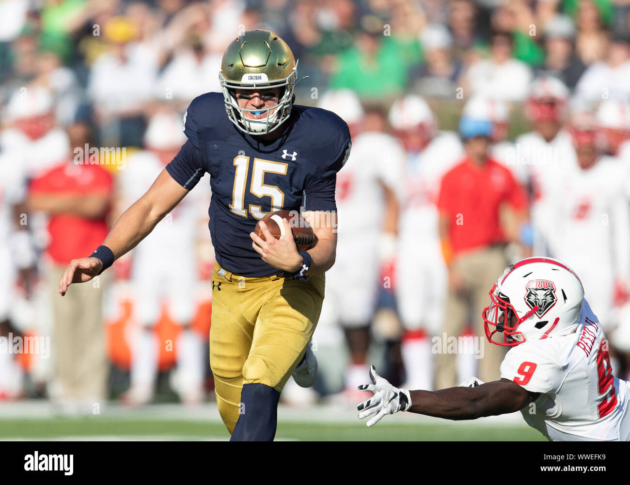 Phil Reed High Resolution Stock Photography and Images - Alamy