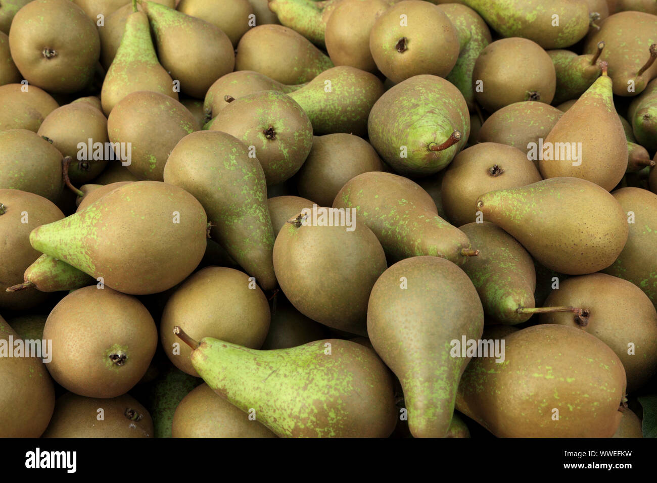 Pear 'Conference', Pyrus communis, farm shop display, healthy eating ...