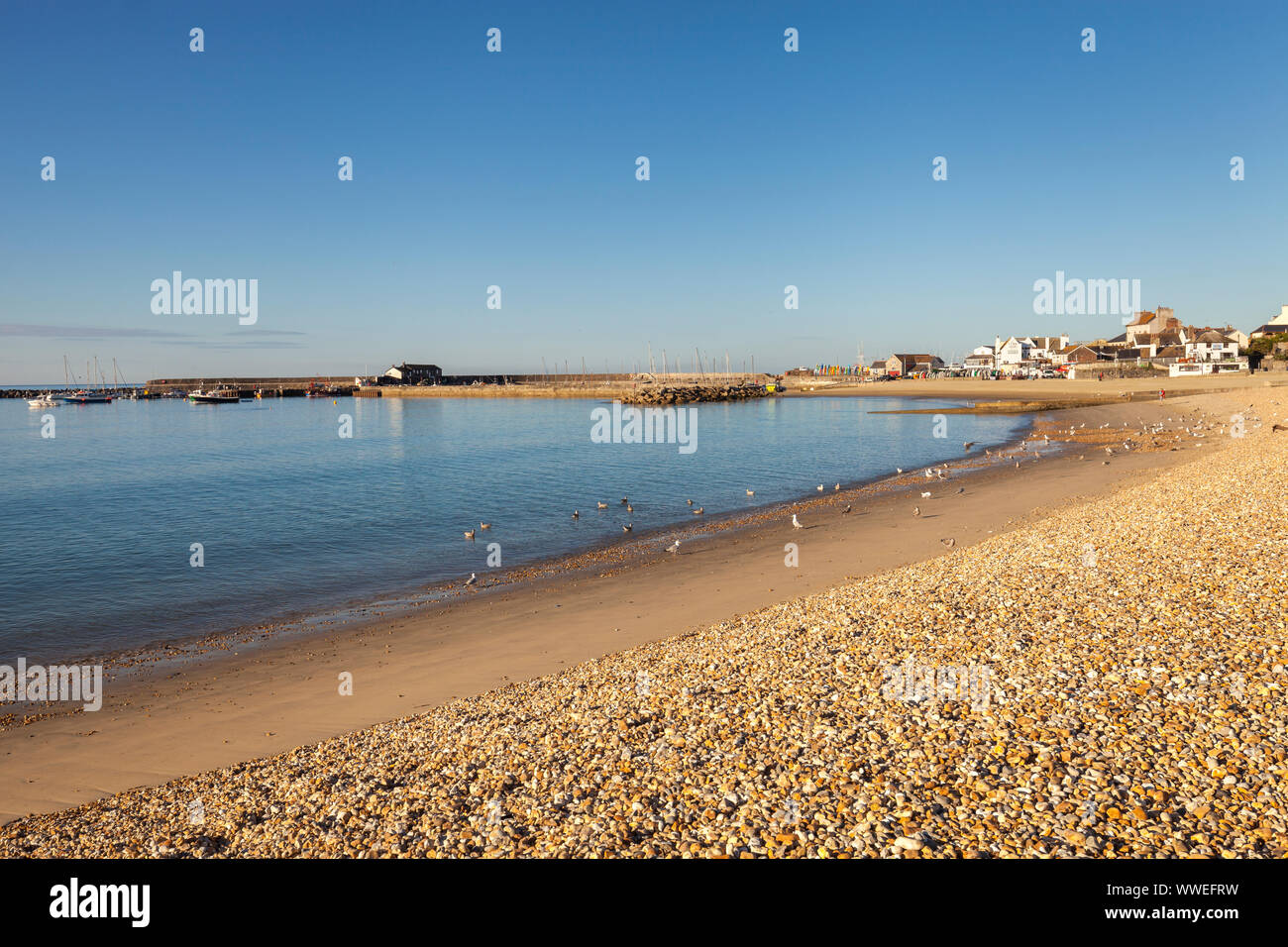 Lyme regis beach hi-res stock photography and images - Alamy