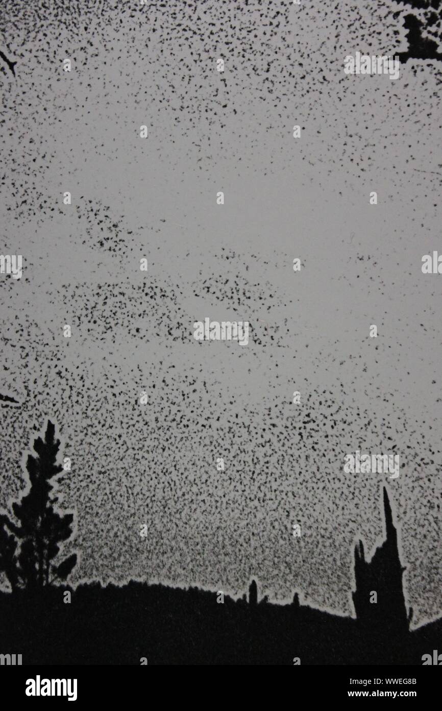 Fine black and white art photography from the 1970s of secretive trees ...