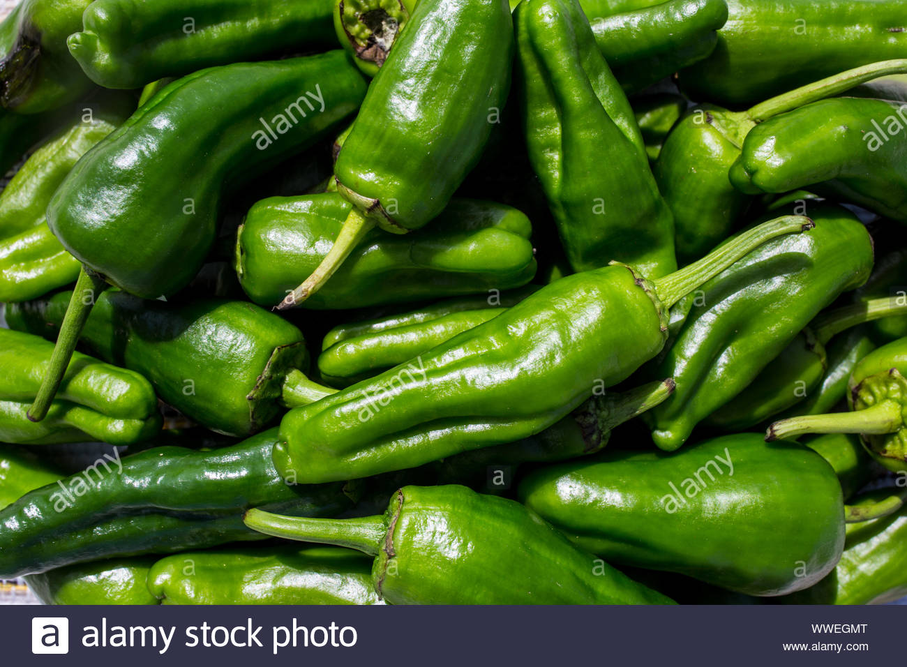Pimiento High Resolution Stock Photography and Images - Alamy