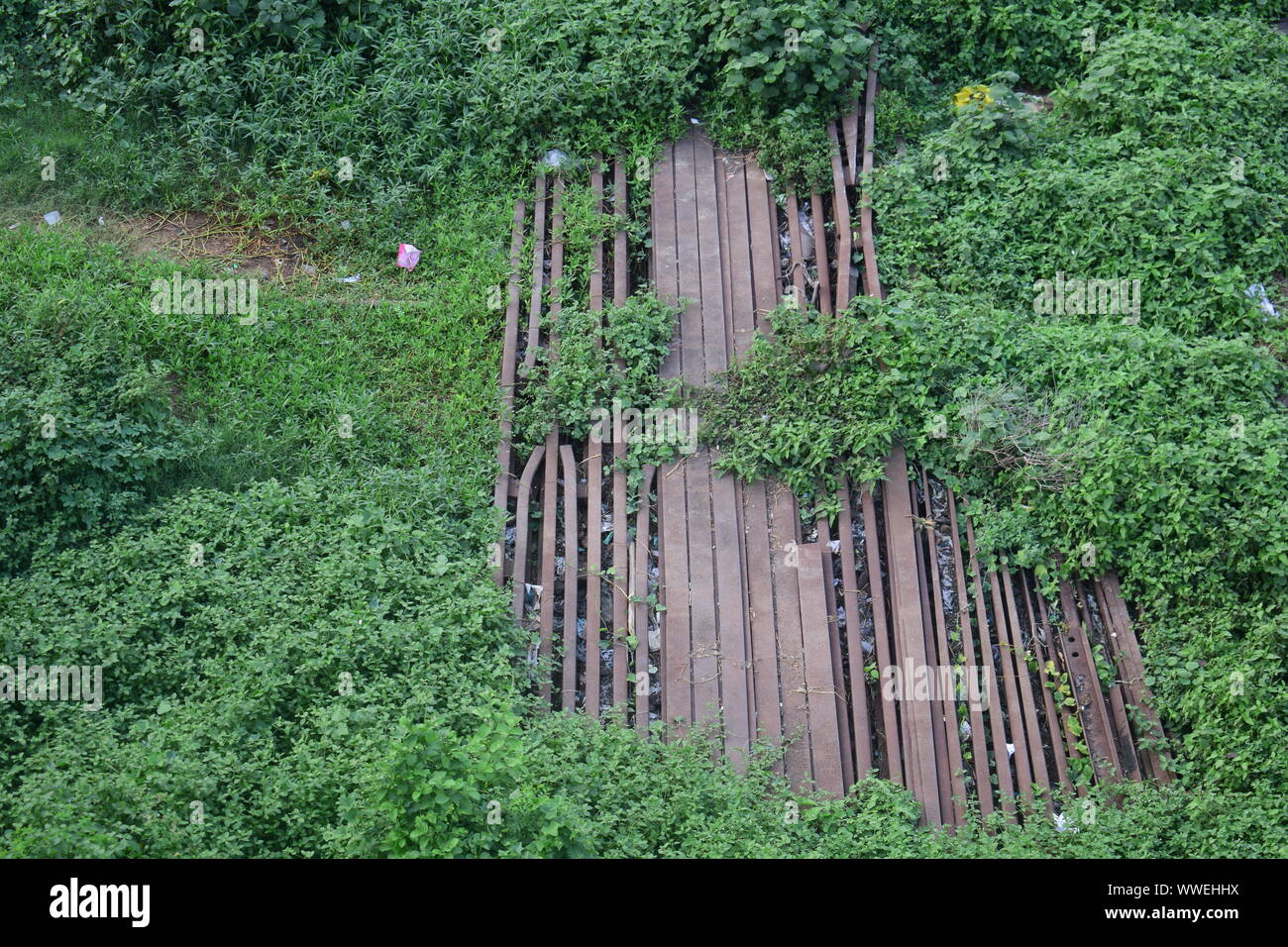 Inside The Bush High Resolution Stock Photography and Images - Alamy