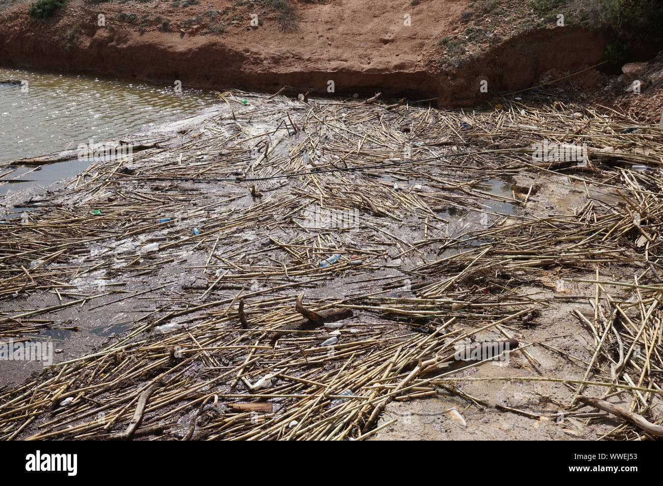 Orihuela Costa, Alicante, Spain - September 15, 2019: Playa Flamenca ...