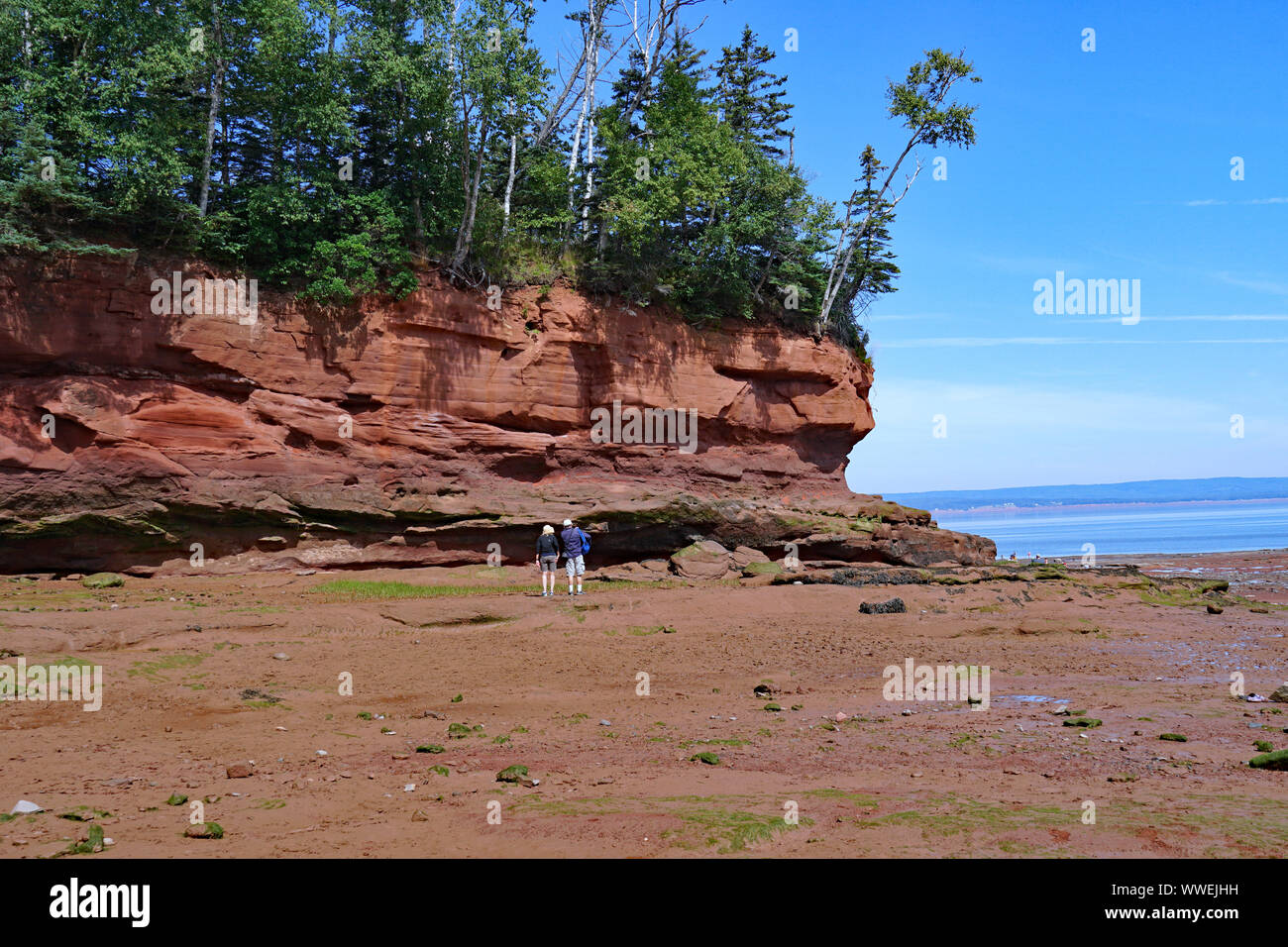 Bay of fundy hi-res stock photography and images - Alamy
