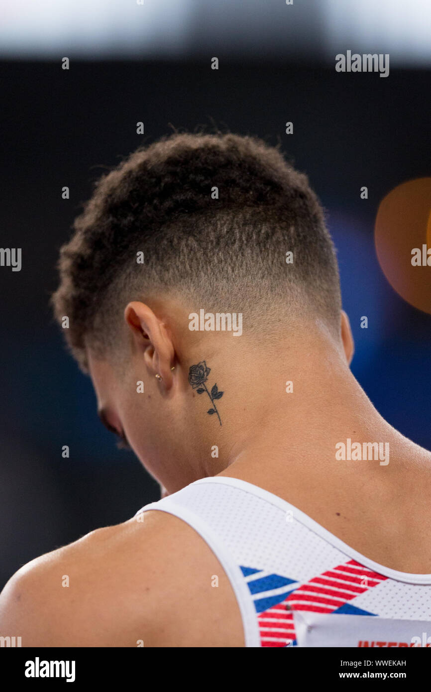 Frasca loris hi-res stock photography and images - Alamy