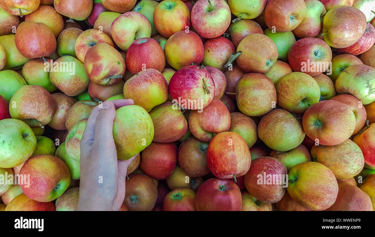 Hand picking an apple hi-res stock photography and images - Alamy