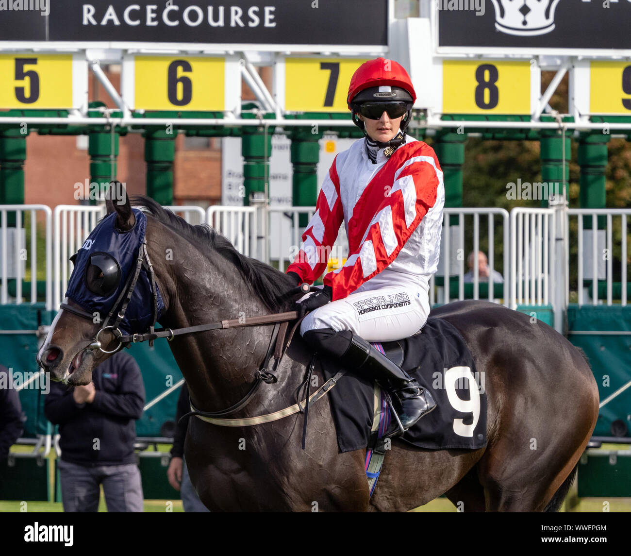 Scottish nursery hi-res stock photography and images - Alamy