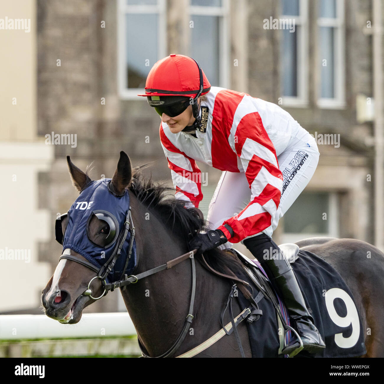 Scottish nursery hi-res stock photography and images - Alamy