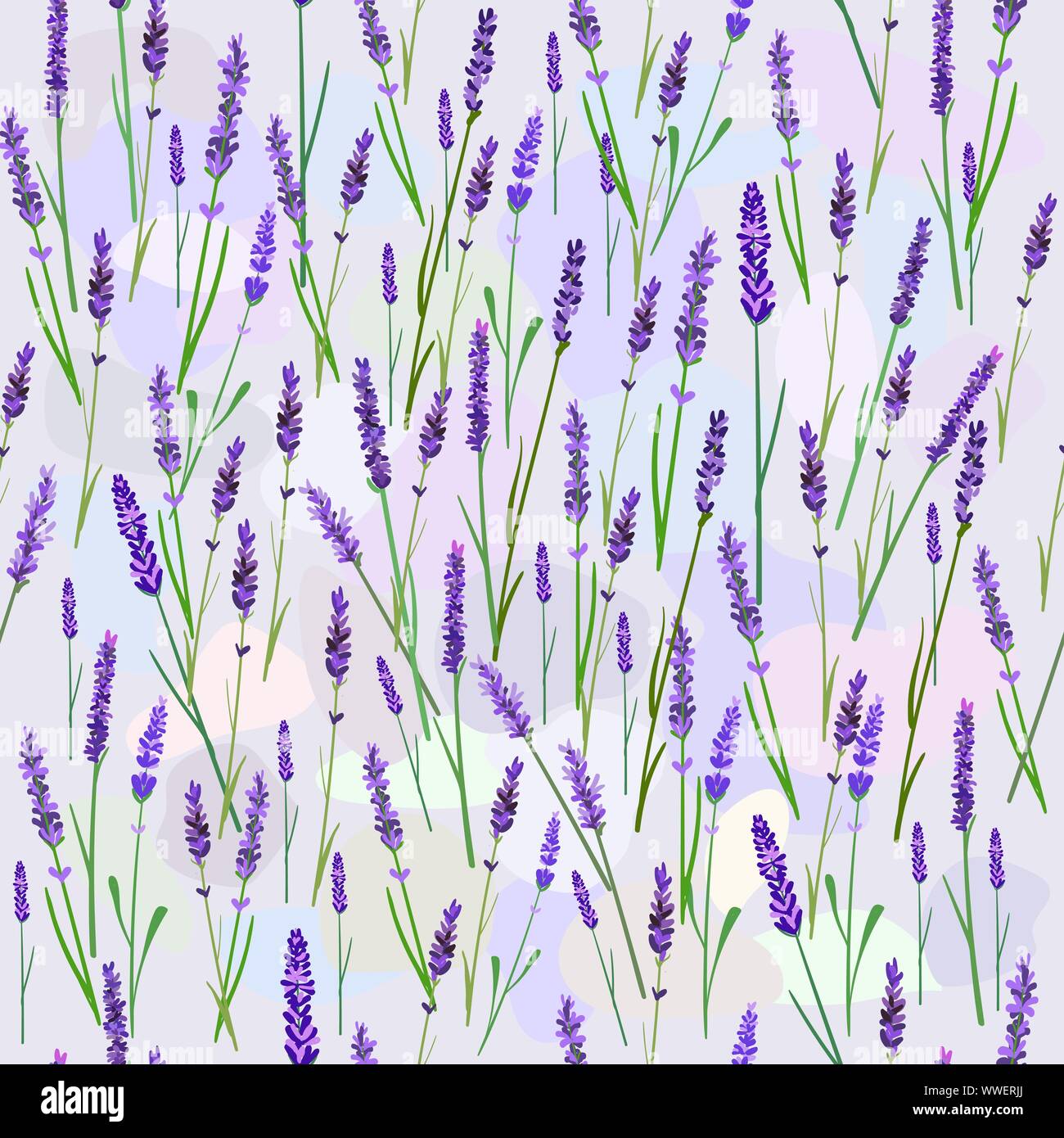 Lavender field seamless pattern. Vector texture Stock Vector Image ...