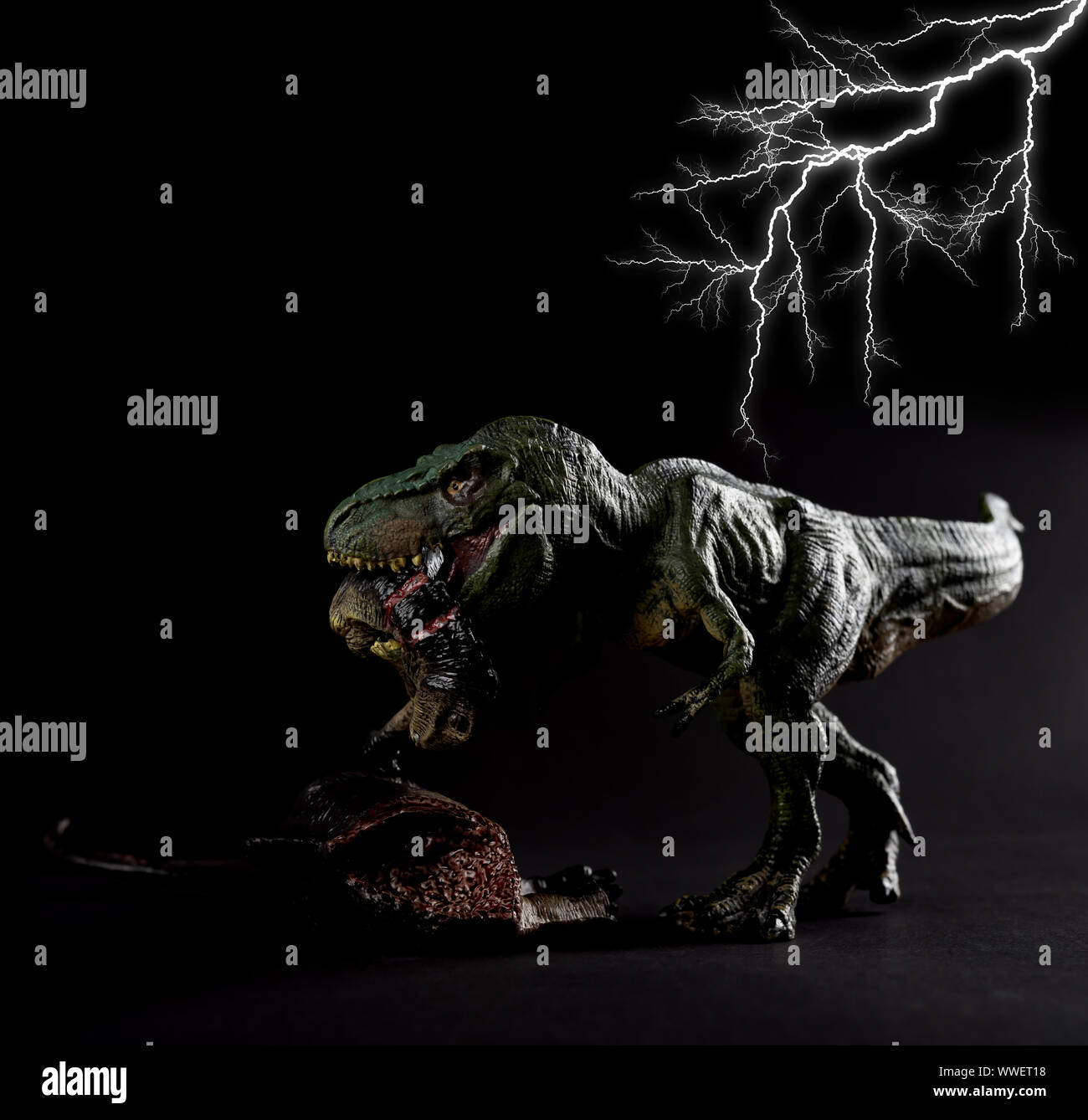 tyrannosaurus biting a dinosaur body with lightning on background Stock ...