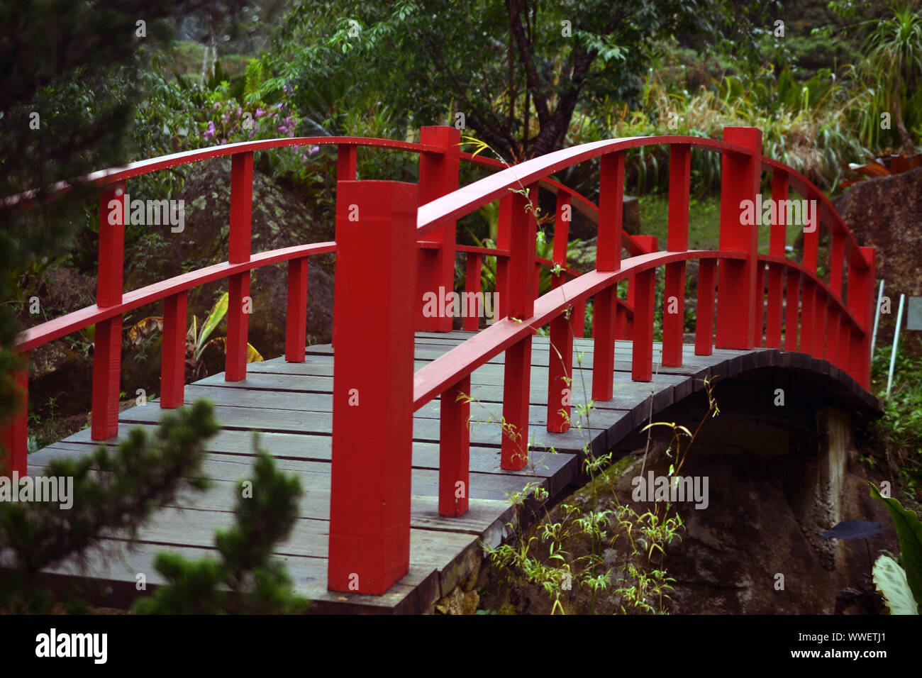 traditional red bridge over pond in japanese garden Stock Photo - Alamy