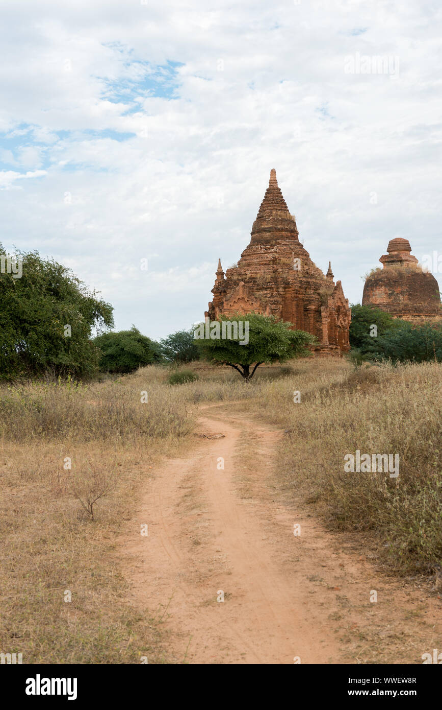 Vertical picture of walking path in a scenic view of nature and old ...