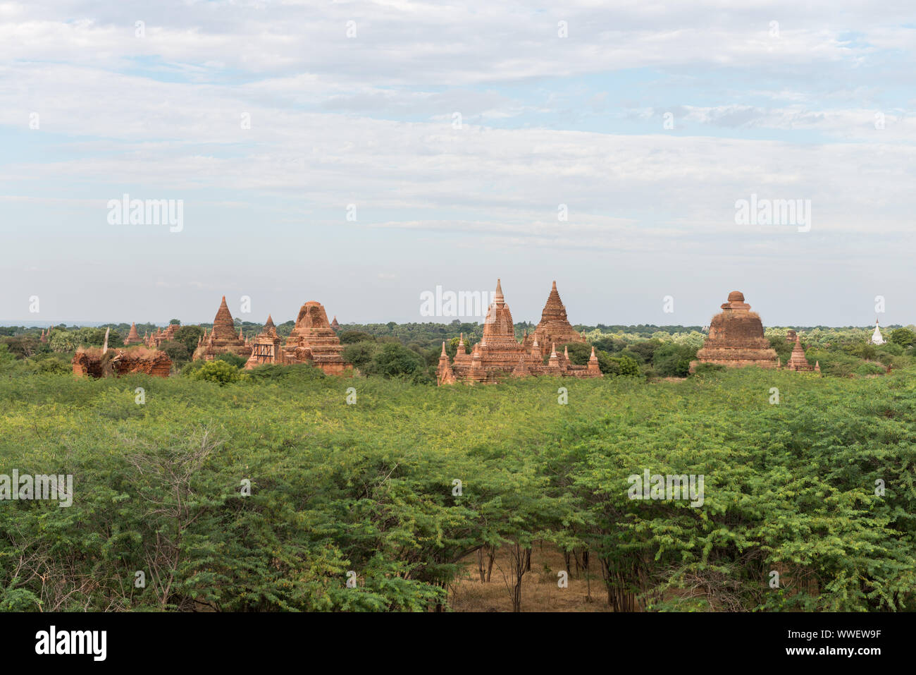 Horizontal picture of scenic view of local vegetation with old temples ...