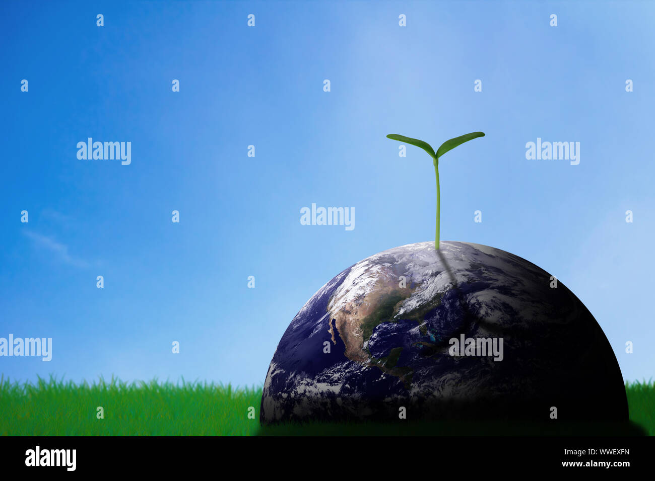 Ecology concept, the earth and young plant on green grass background ...