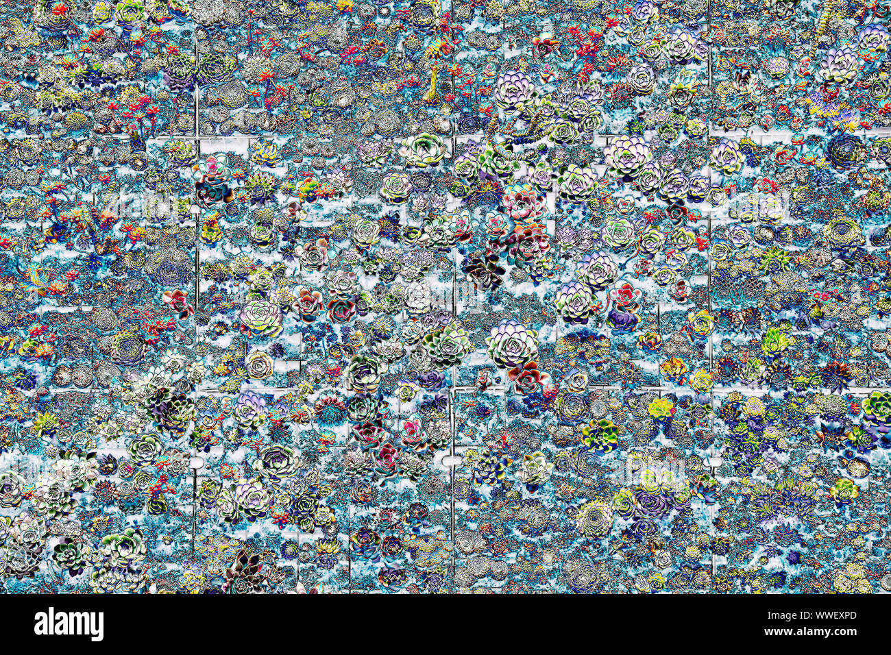 Vivid floral digital art artwork hi-res stock photography and images ...