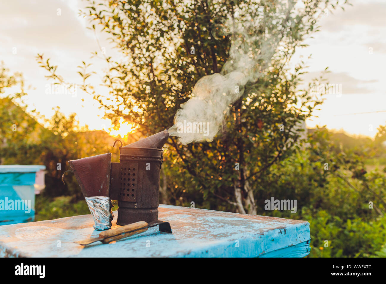Beekeepers metal smoker smoking on the top of a beehive. The silver ...