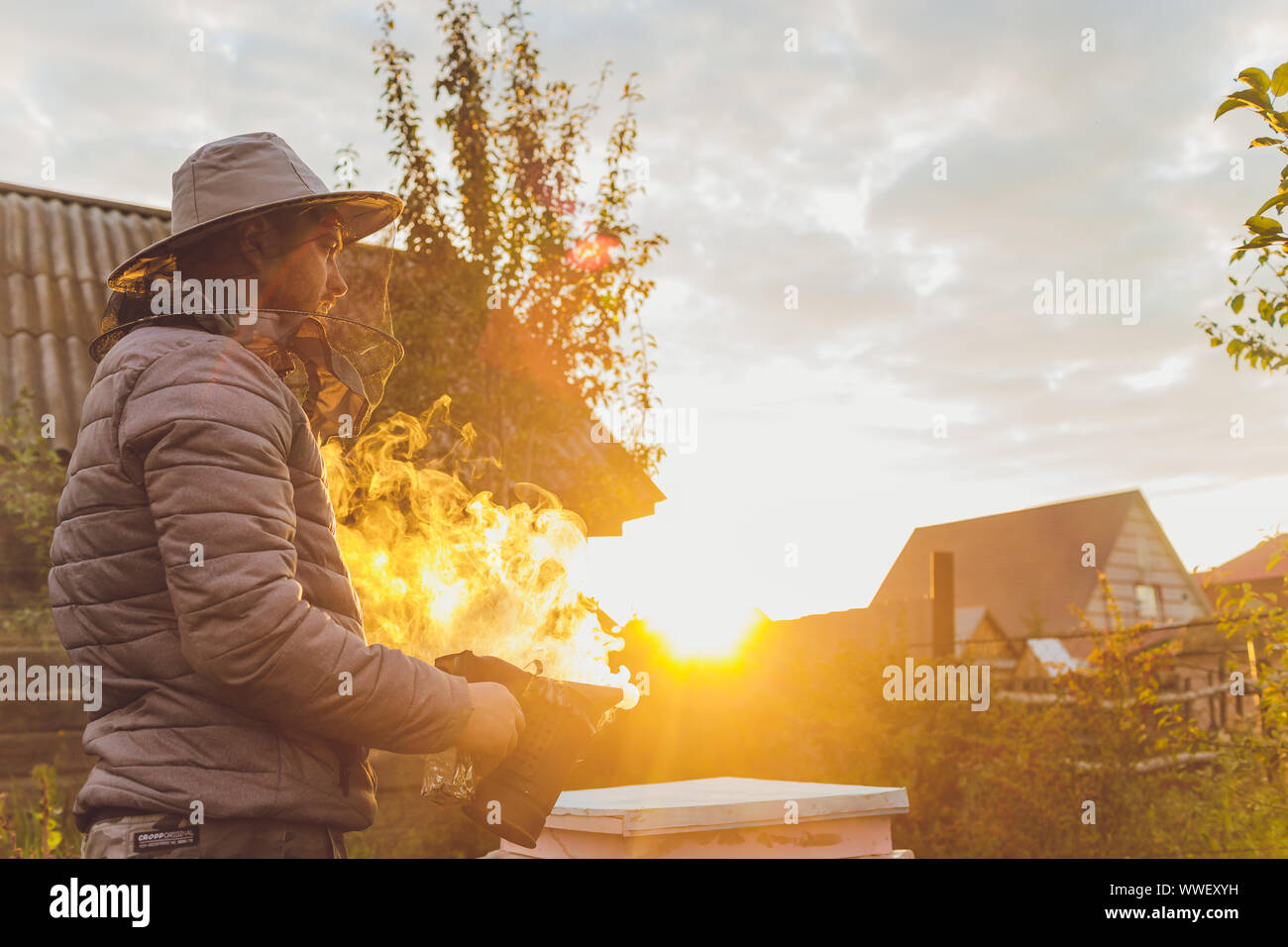 Frames of a bee hive. Beekeeper harvesting honey. The bee smoker is ...