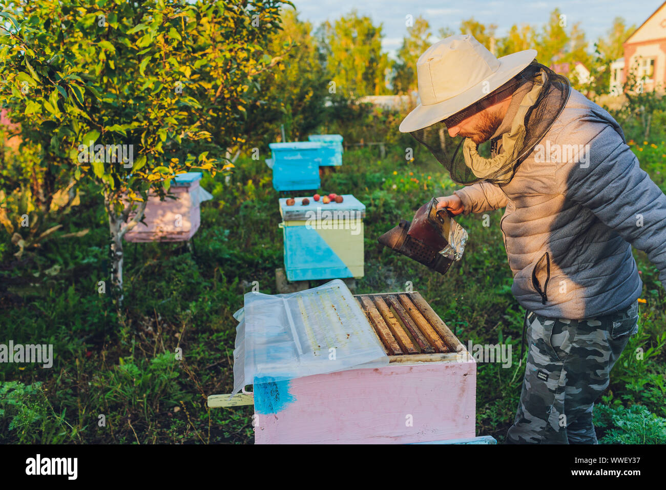 Experienced beekeeper grandfather teaches his grandson caring for bees ...