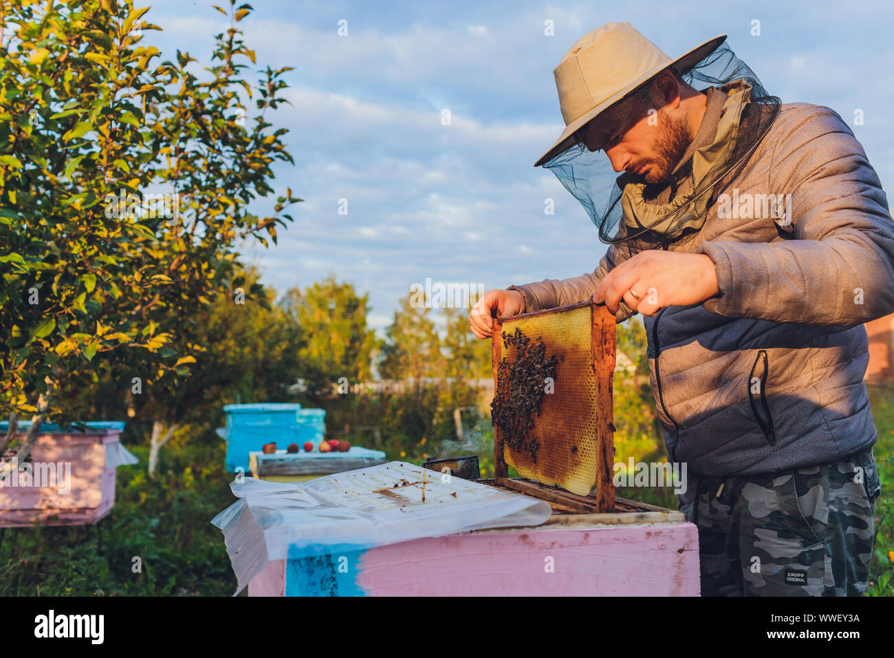 Experienced beekeeper grandfather teaches his grandson caring for bees ...