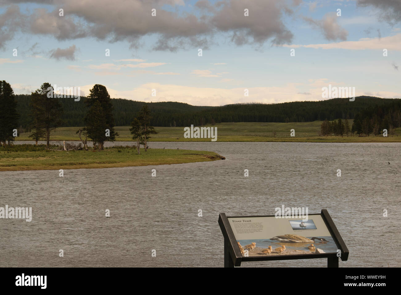 Yellowstone National Park During the Summer on the Scenic Car Loop ...