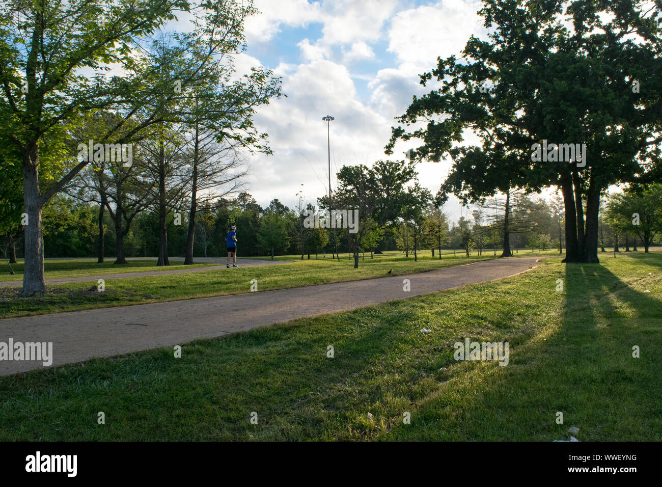 Jogger in Memorial Park Houston Texas getting exercise Stock Photo - Alamy