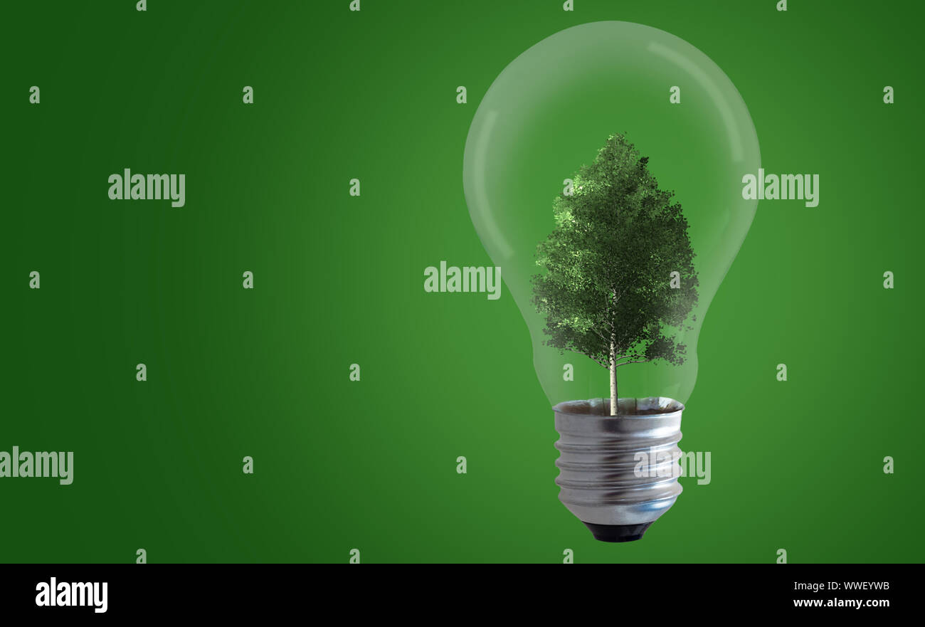 Energy concept, tree and light bulb on green background, nature and ...