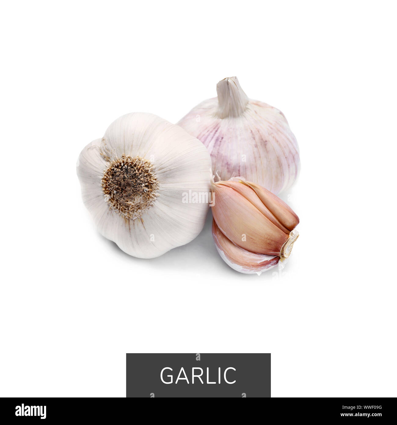 Fresh garlic on white background Stock Photo - Alamy