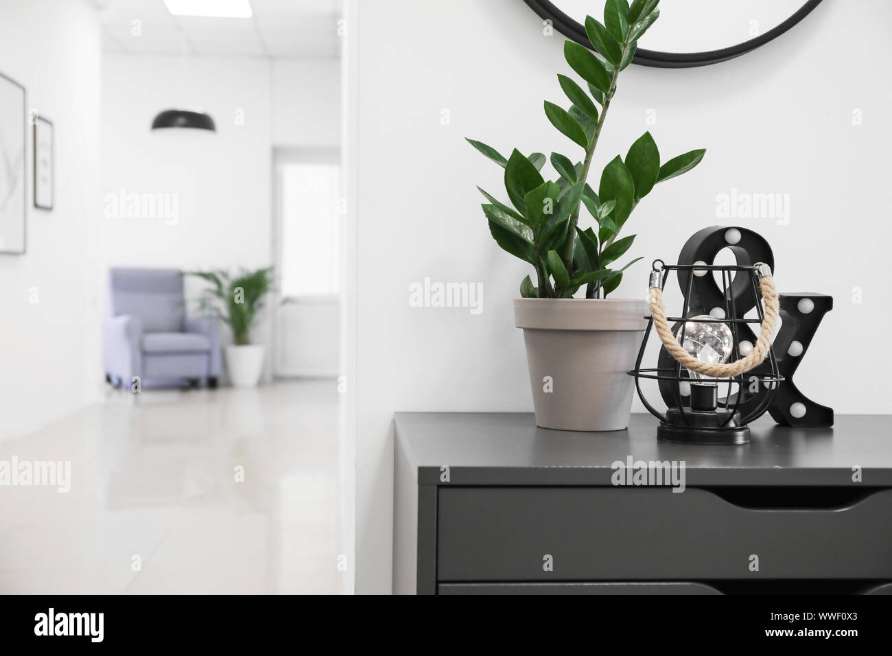 Pot with plant and stylish decor on table in hall Stock Photo - Alamy
