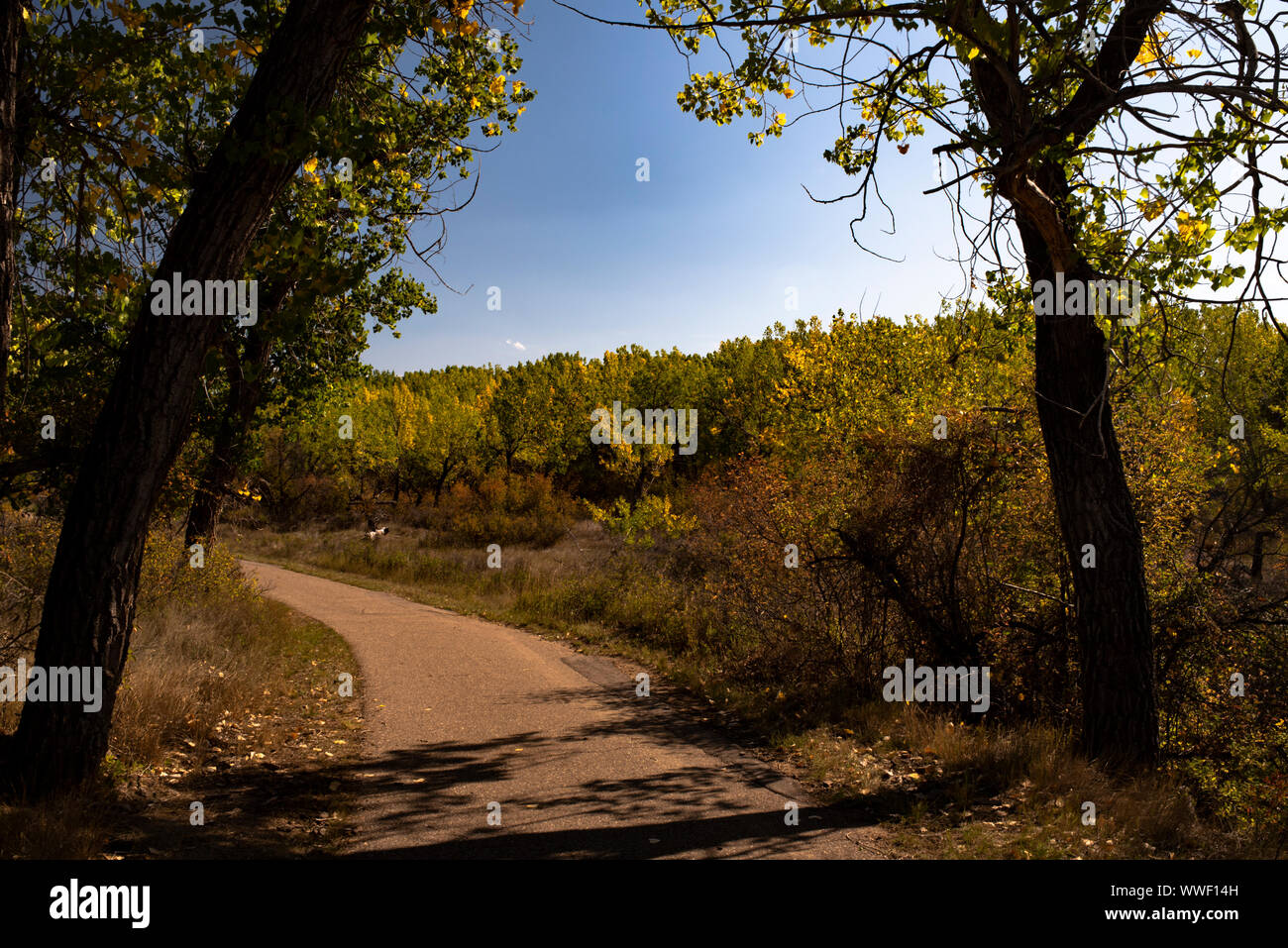 Walking path in Police Point Park, Medicine Hat, Alberta, Canada Stock ...