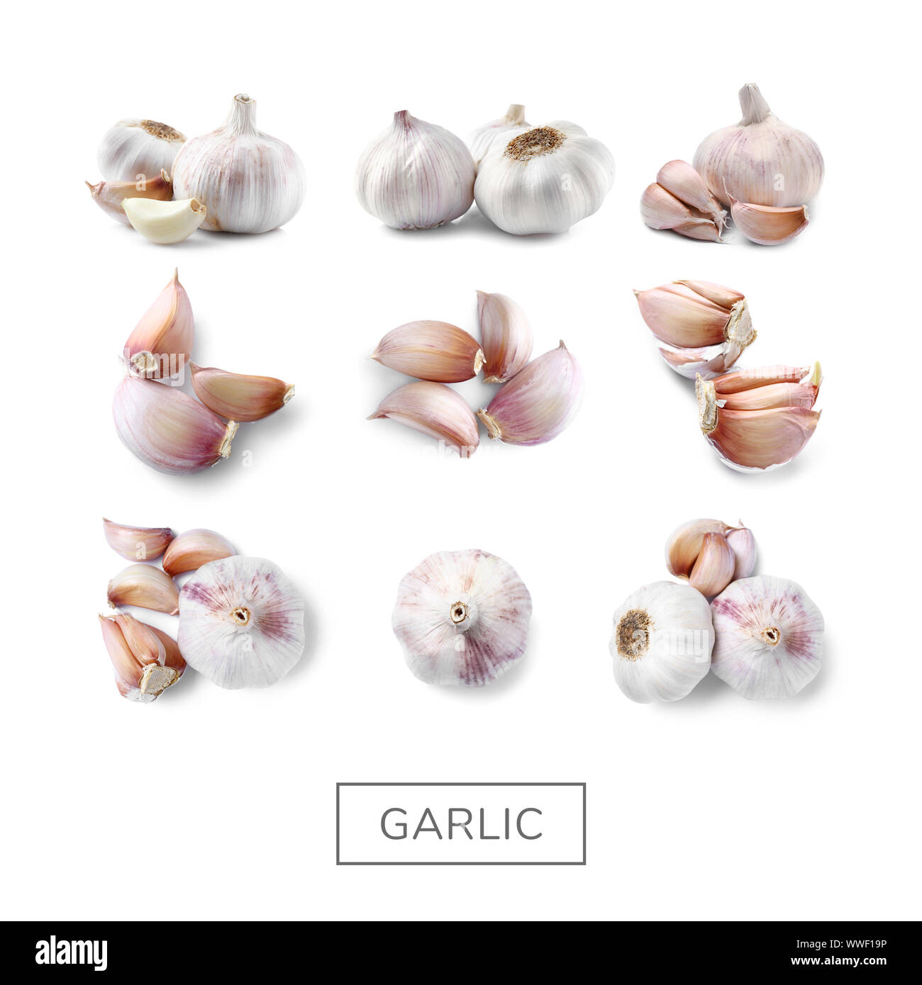 Many fresh garlic on white background Stock Photo - Alamy