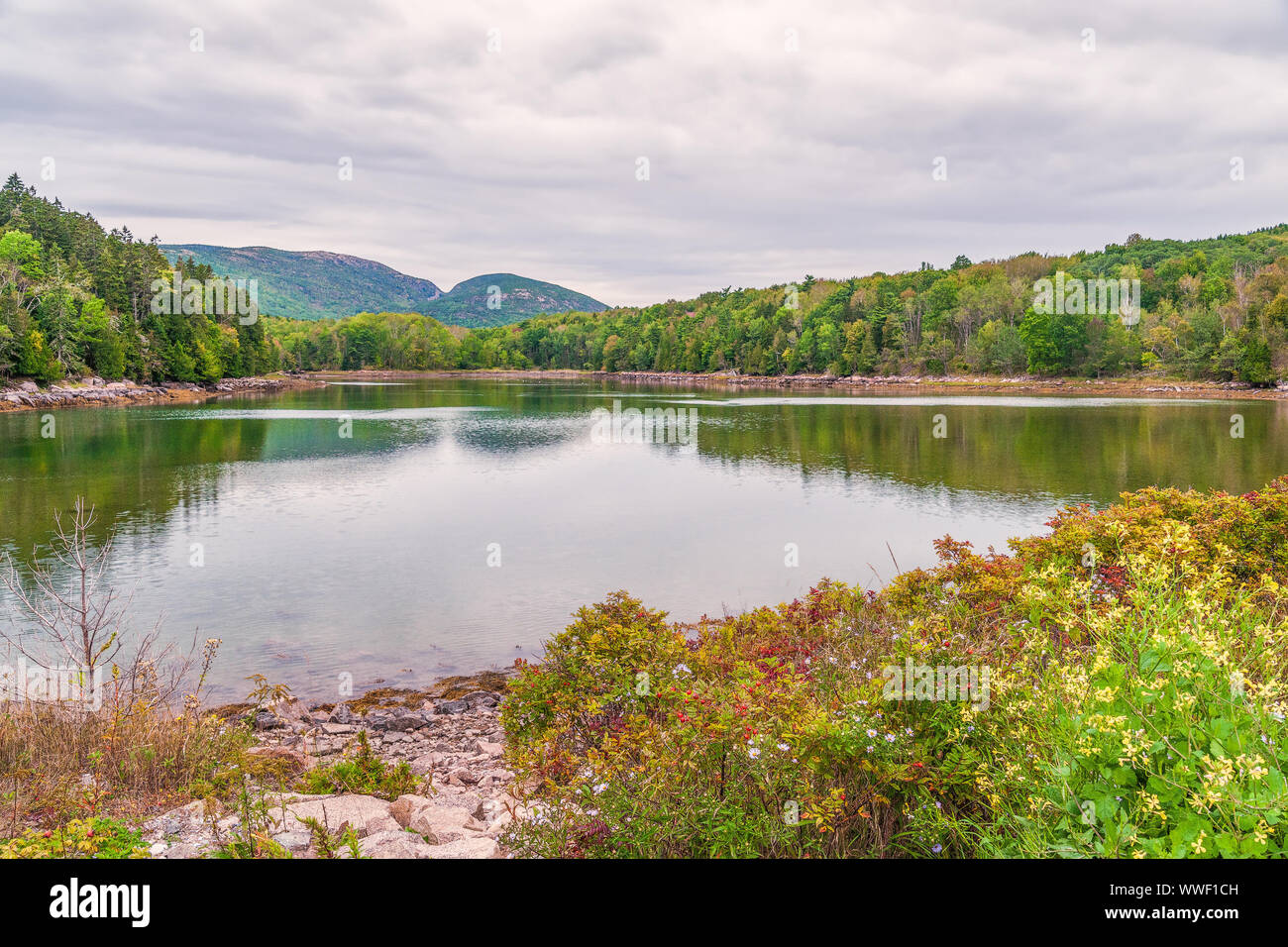 Pond in the little hunters beach area. Acadia National Park. Maine. USA ...