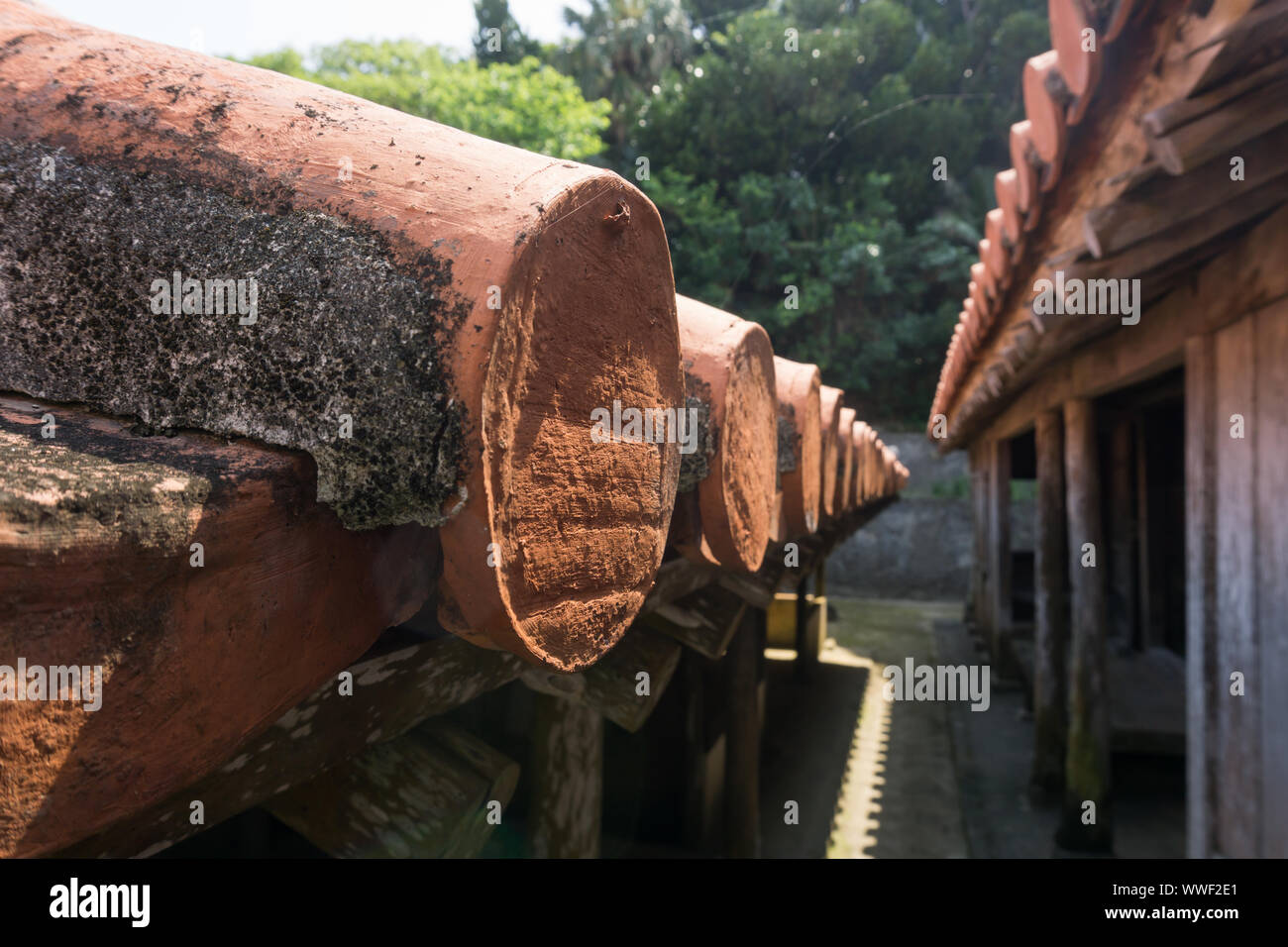 Close-up view of Japanese terracotta roof tiles in Okinawa, Japan Stock ...